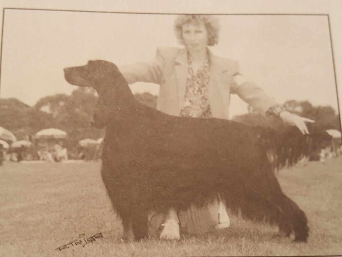 Nike x Enya Litter - Green Girl - Raritan Gordon Setters